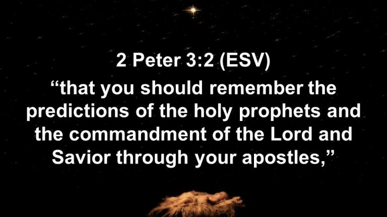 Commands of the Lord - New Testament – Anonymous Christian